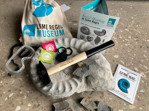 Fossil Hunting Kit (optional) - Lyme Regis Museum